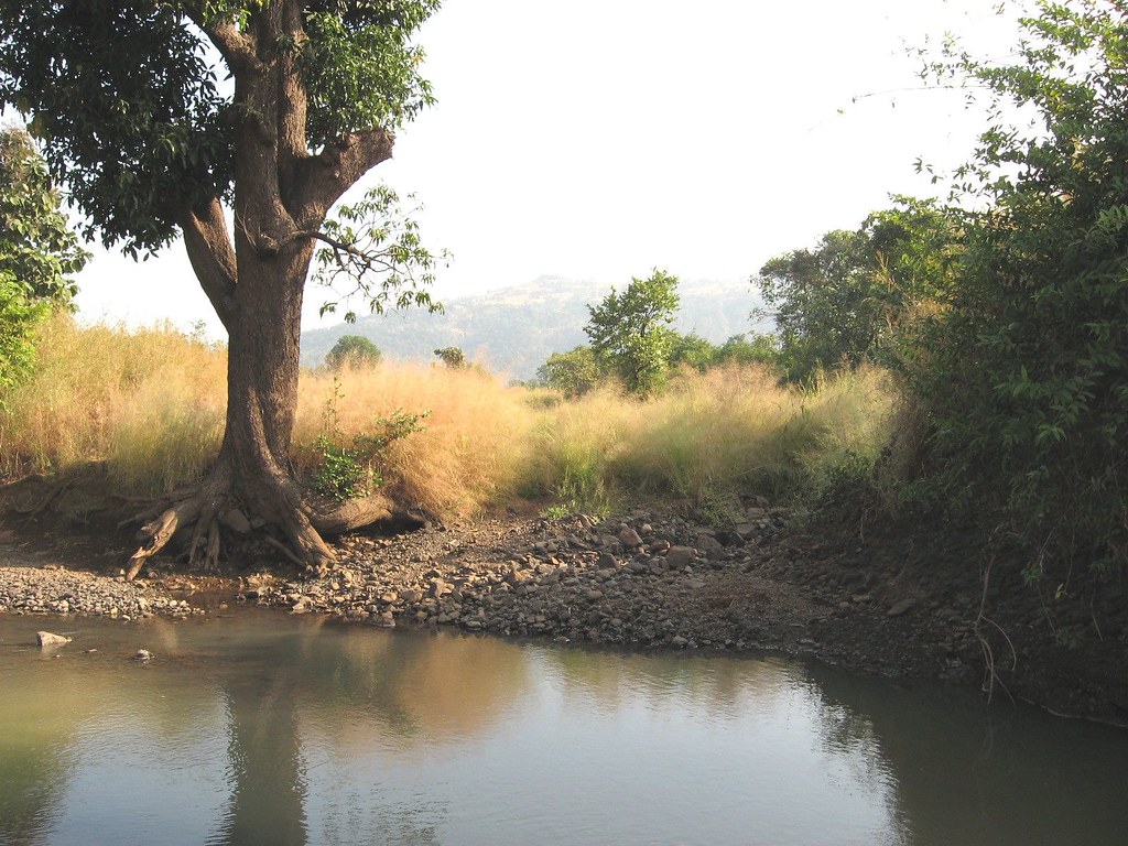 Refreshing One Day Road Trips from Mumbai | Yuyiii