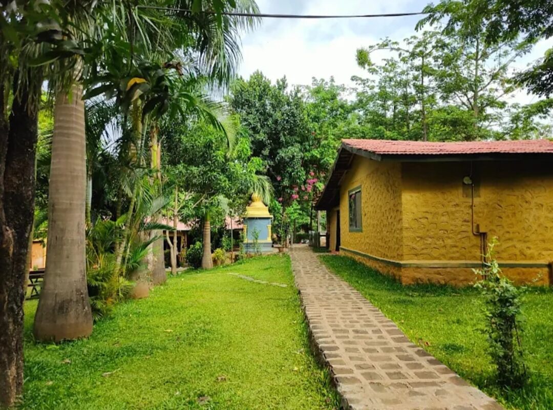 Experience the Vibrant Nature Resorts Near Mumbai in 2024 | Yuyiii