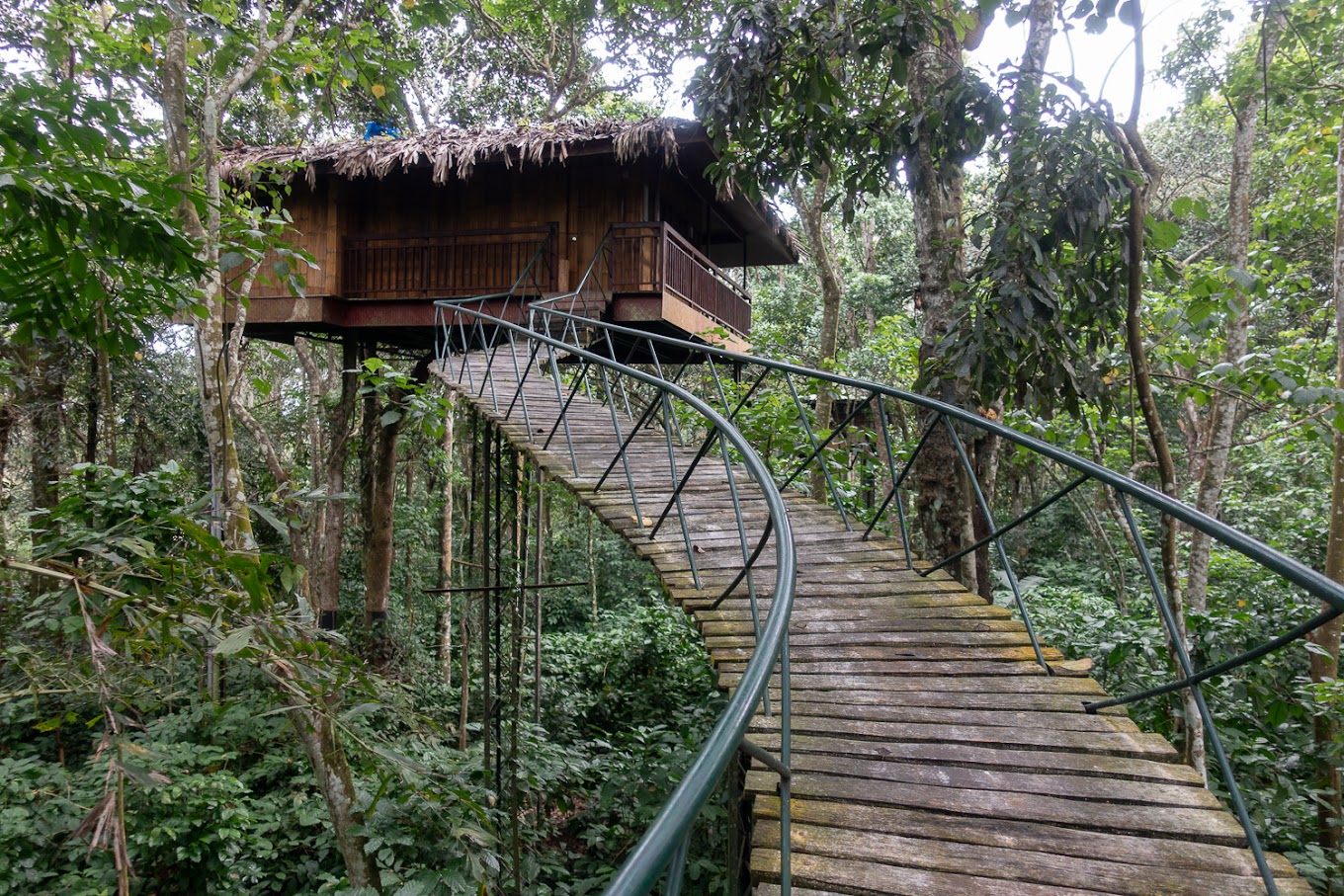 Treehouse In Kerala: Top 4 Luxury Resorts