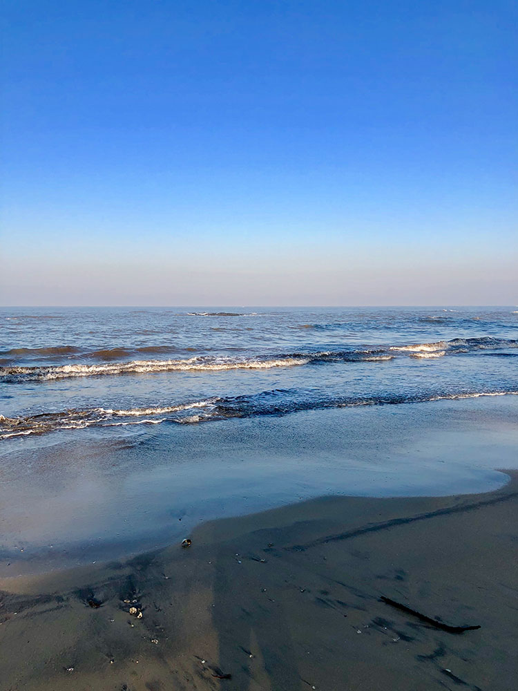 Villa In Alibaug Near The Beach-Top 6 Resorts For 2024!